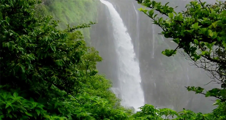 Lingmala Waterfall Mahabaleshwar (Timings, Entry Fee, Images, Best time ...