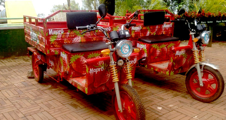 Mapro Garden Mahabaleshwar (Entry Fee, Timings, Images & Location ...