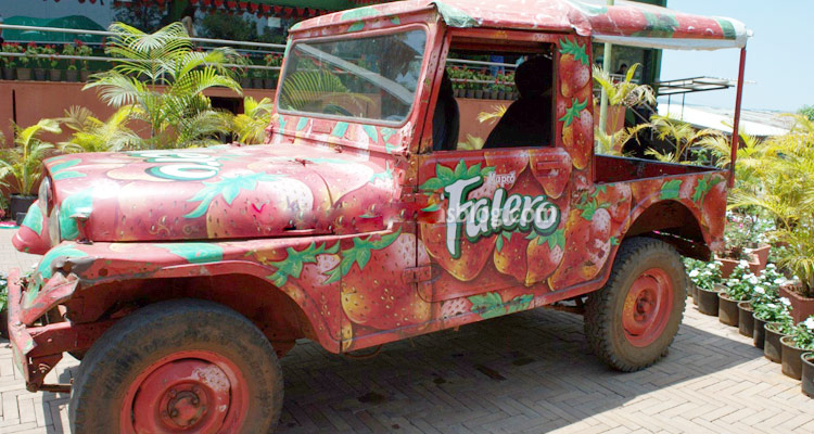 Mapro Garden Mahabaleshwar (Entry Fee, Timings, Images & Location ...